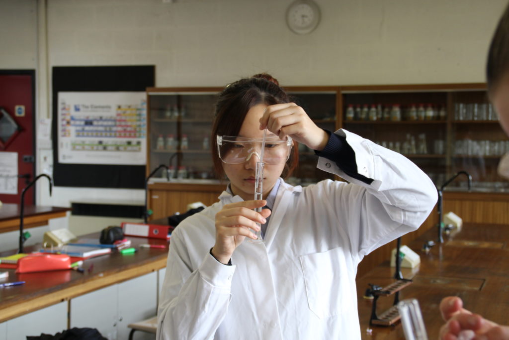 TheMount-SixthForm-EducatingGirls-Subjects - The Mount School