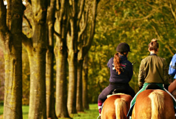 Home - The Mount School