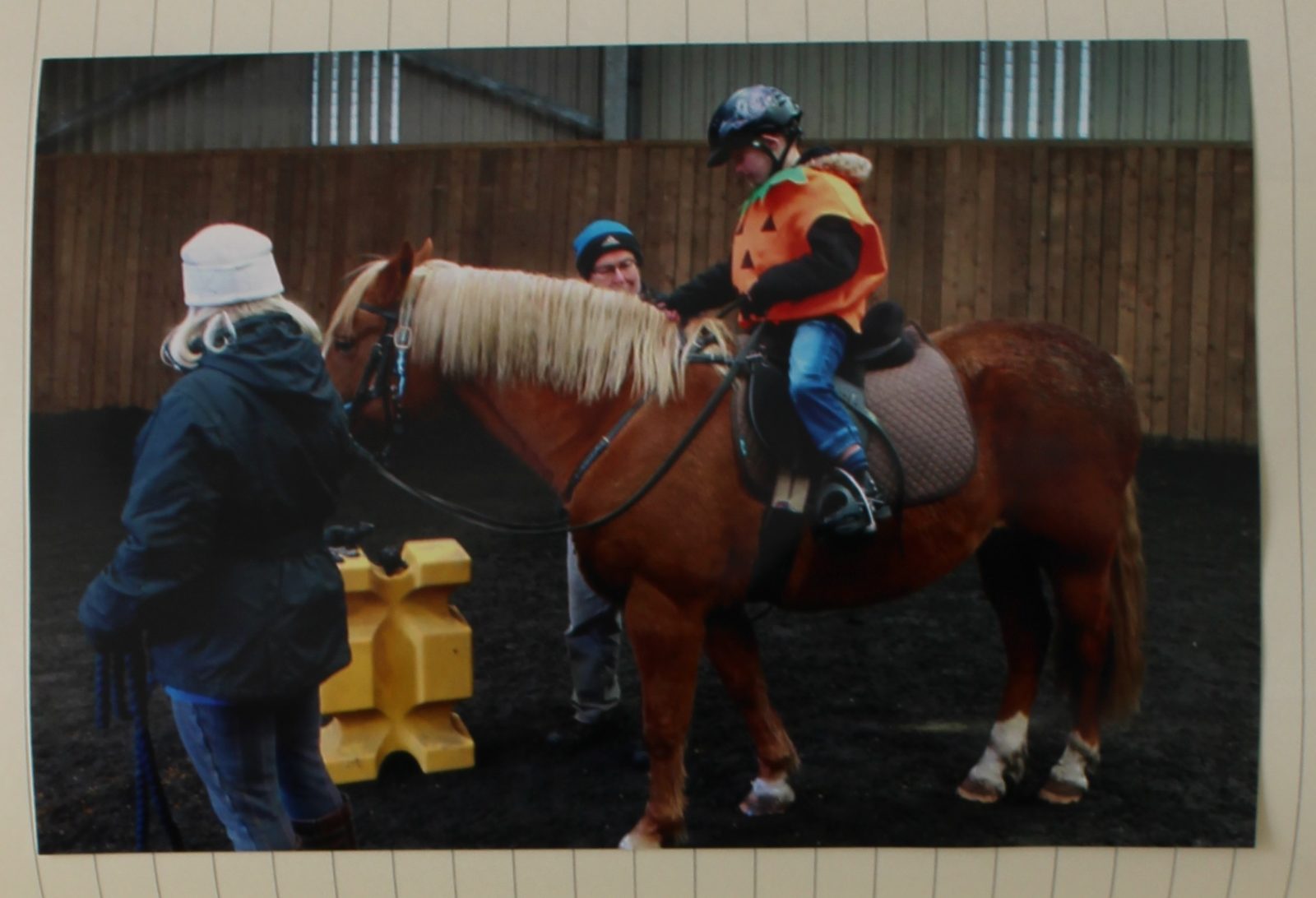 Millie's Gold JASS Award - The Mount School